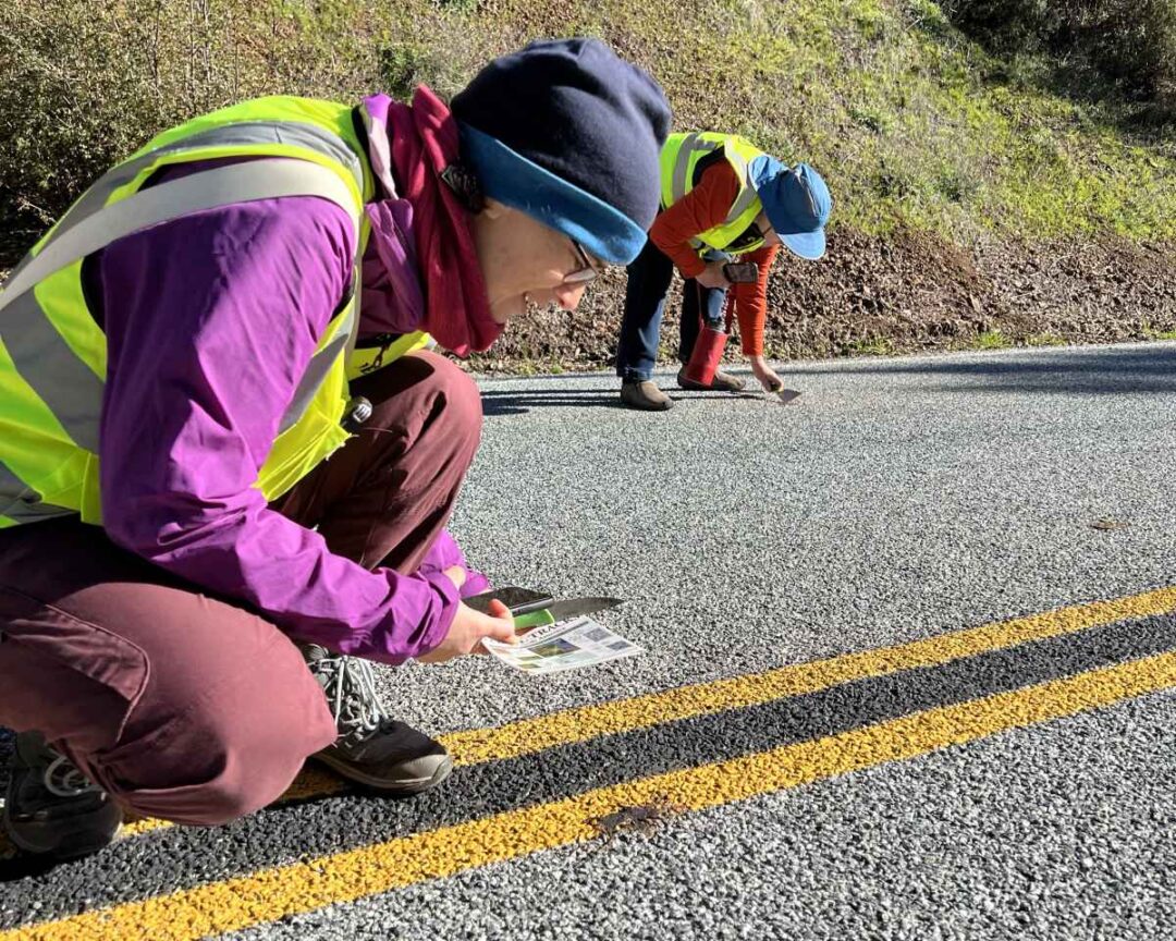 The Peril of Alma Bridge Road – UCSC Science Notes