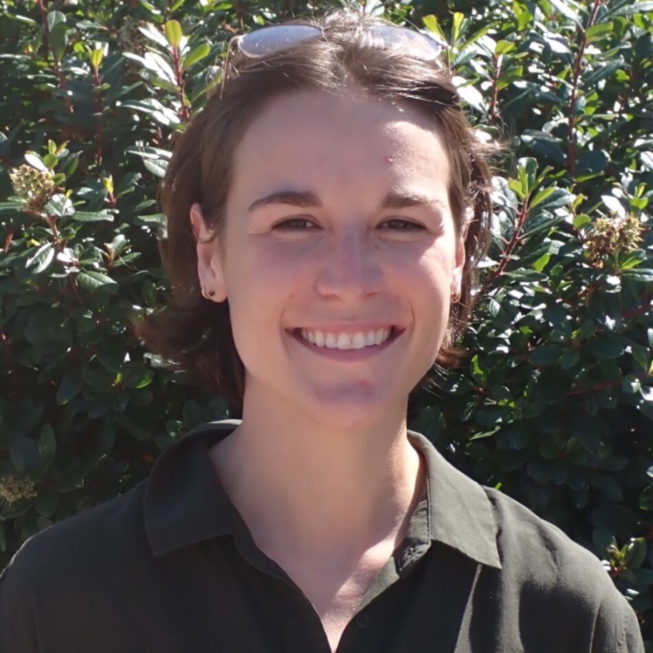 The Science and Art of Saving Joshua Trees – UCSC Science Notes